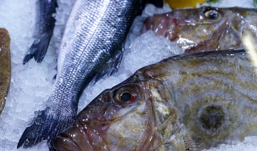 Ako sa starať o chladničku (NÁVOD) | Alza.sk